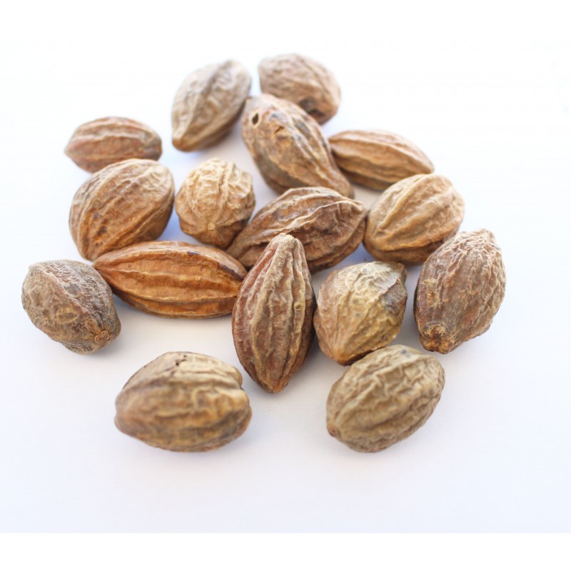 Haritaki (Terminalia Chebula)